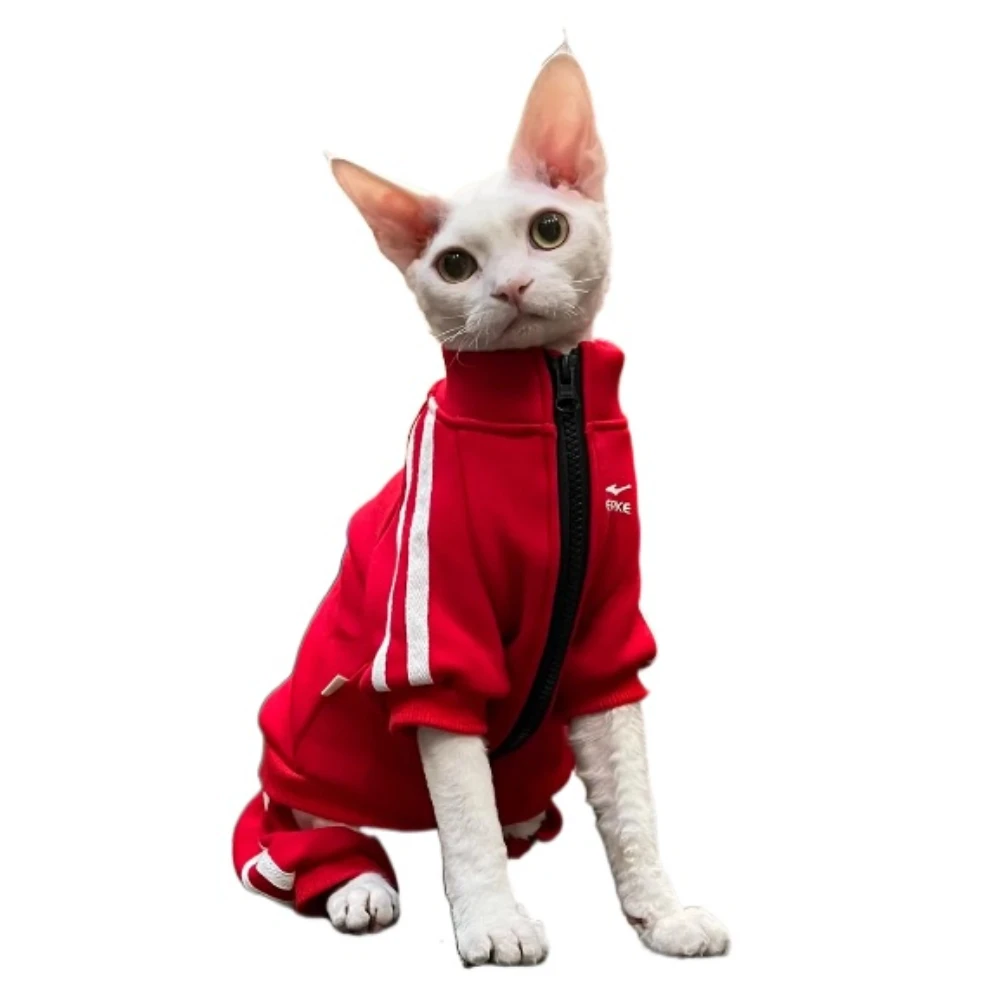 Sphinx-Hairless-Cat-Clothes-Autumn-Winter-Velvet-Four-legged-Devon-Rex ...
