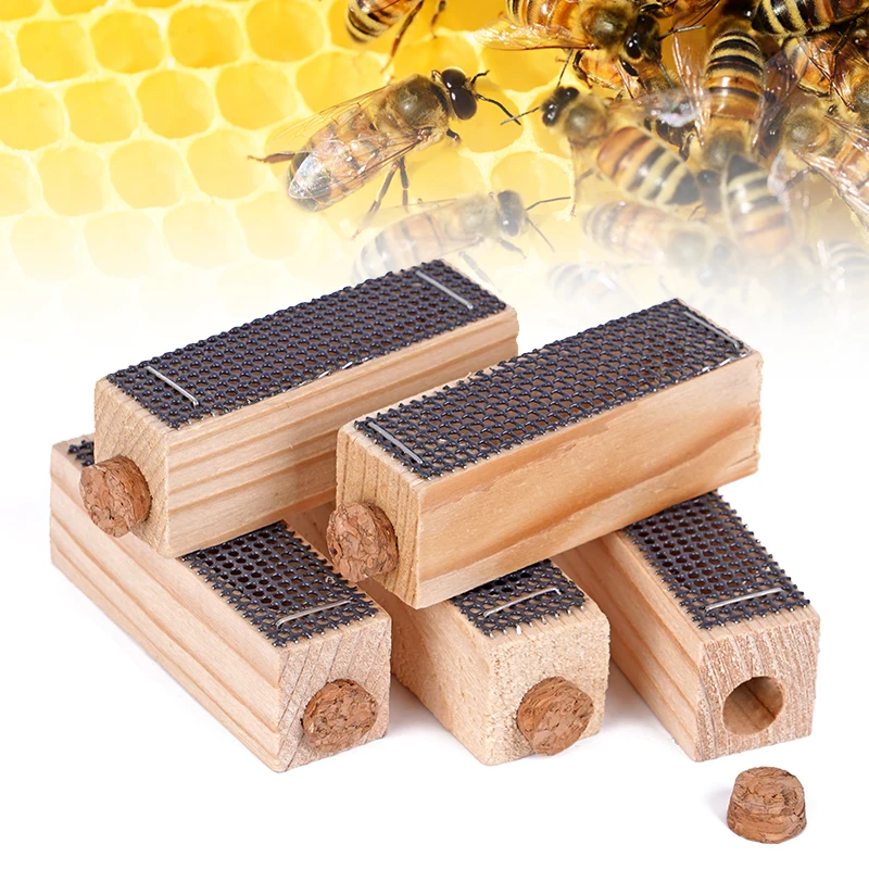 5-Pcs-Queen-Bee-Cage-Beekeeping-Equipment-Beehive-Storage-Wooden ...