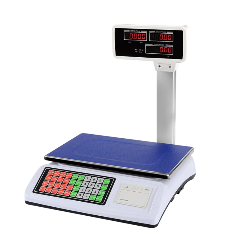 Mass Balance Scale
