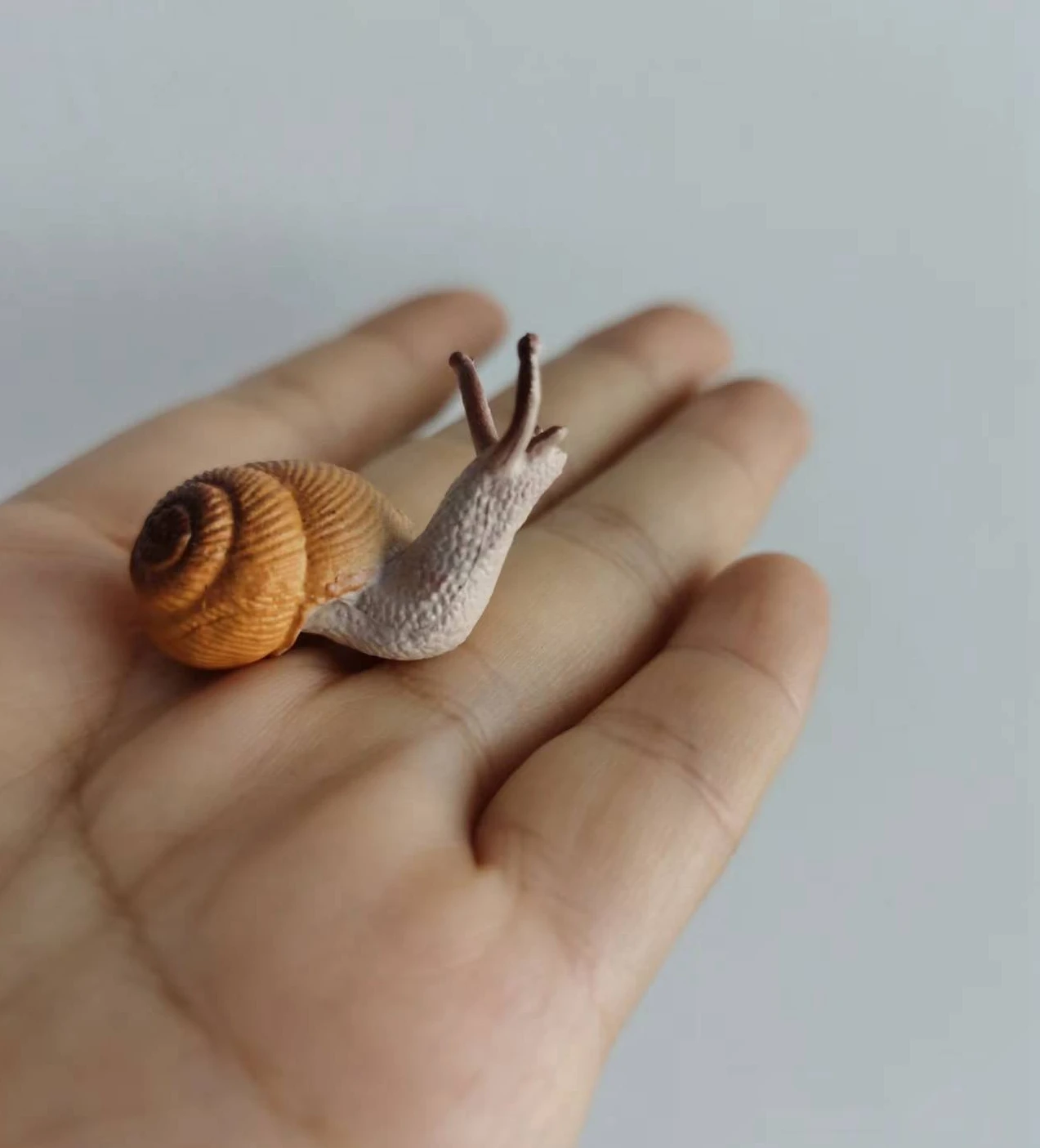 Miniature model snail 2pcs