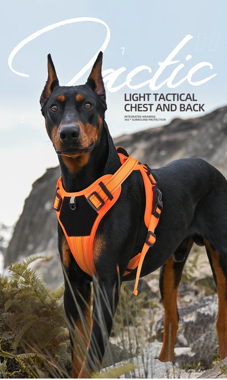 Pet-Chest-and-Vest-Reflective-Dog-Traction-Rope-Explosion-proof-Charge ...
