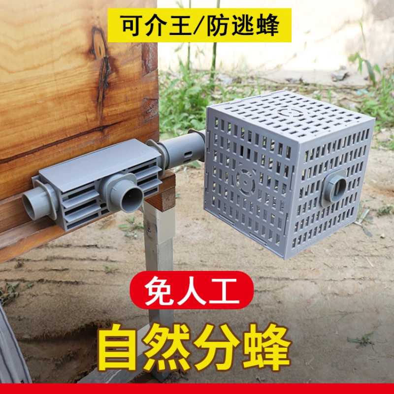 Bee-Box-Automatic-Bee-Splitter-Multi-Functional-Plastic-Soil-Bee ...