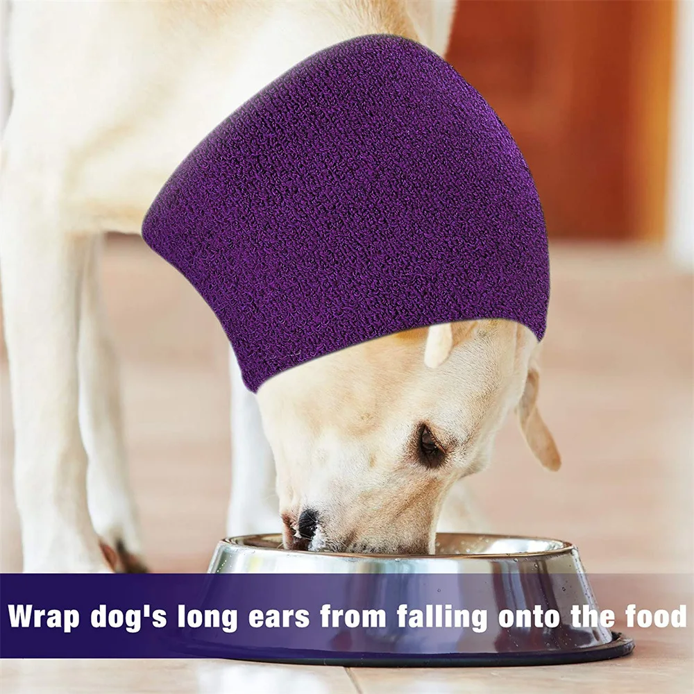 How To Keep Dog Ears Warm
