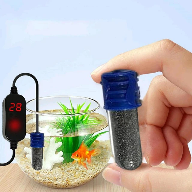Heated Betta Fish Tanks