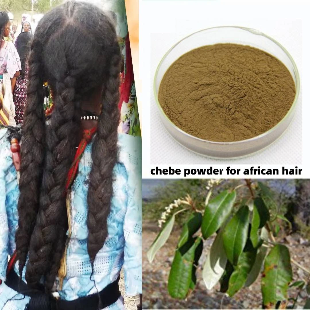 Chebe Powder From Chad 100% Natural Hair Regrowth, Improves Hair ...