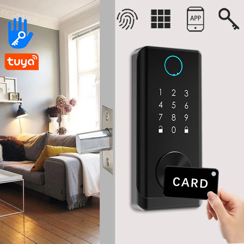 Electronic Smart Door Lock With Digital Fingerprint Password Card, Tuya ...