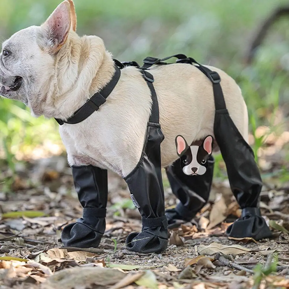 🐶 Botas ajustables para perros - Oferta — Descuentos Rata