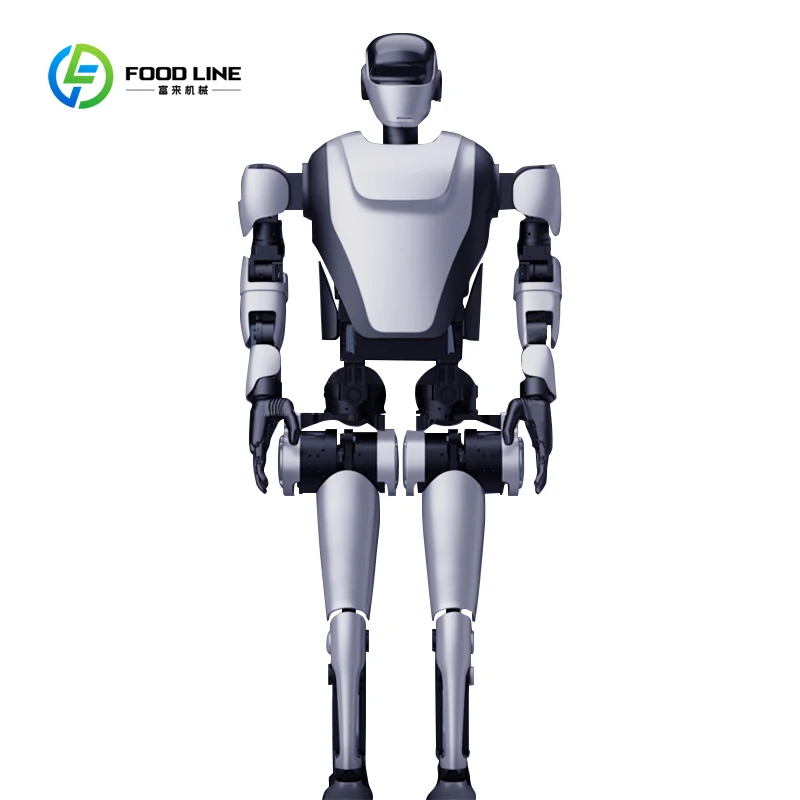 Customized Commercial Home Smart Educational Intelligent Robot Human ...