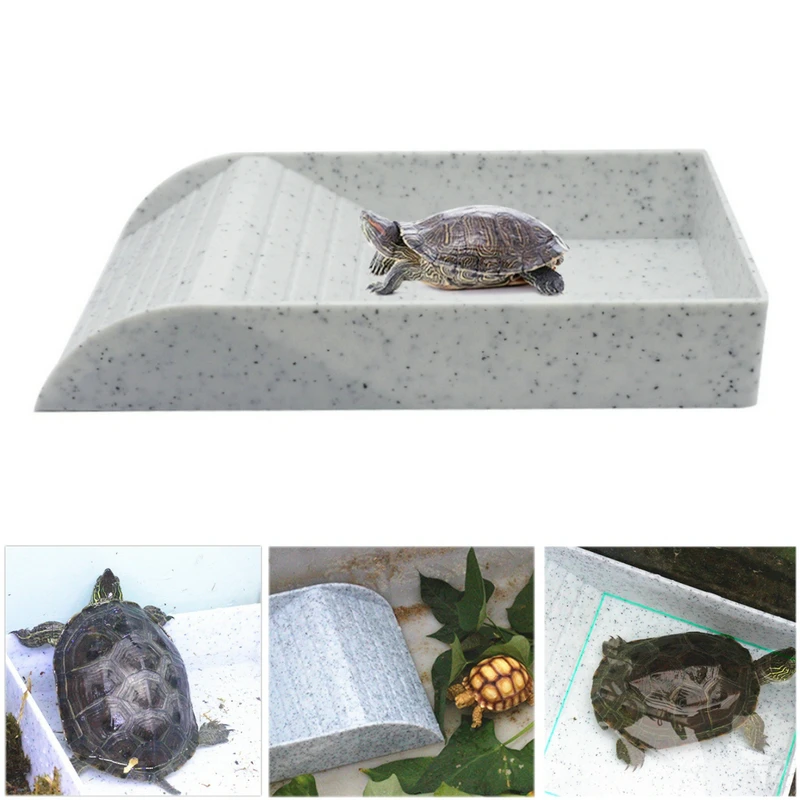 Pet Tortoises Water