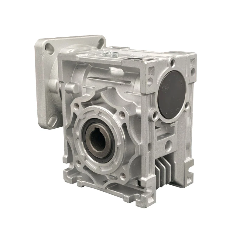 RV040-Speed-reducer-worm-DC-motor-gearbox-18mm-output-5-1-100-1-Worm ...