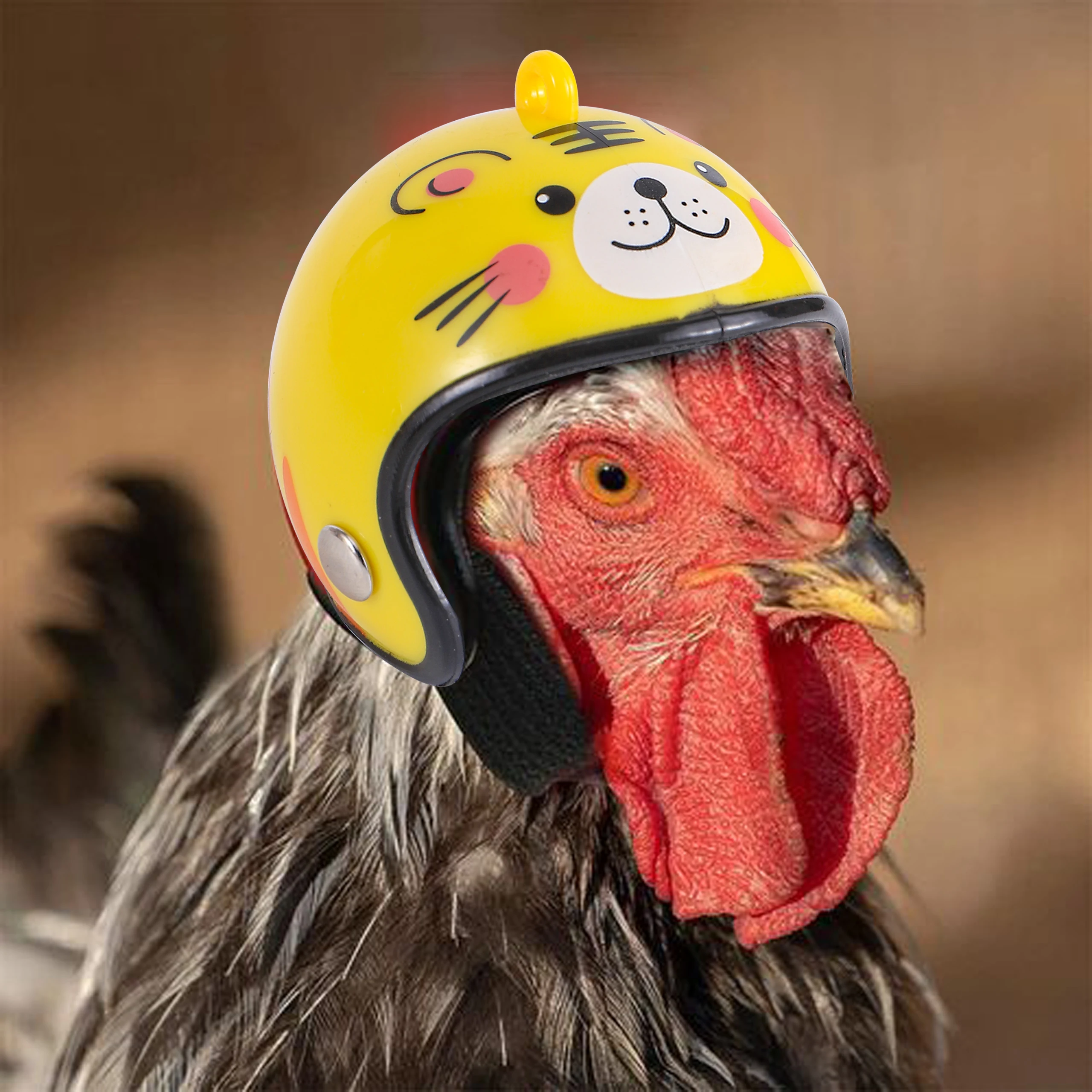 1-Pc-Set-Chicken-Helmet-Pet-Protection-Cap-Dislocation-Helmet-Toy ...