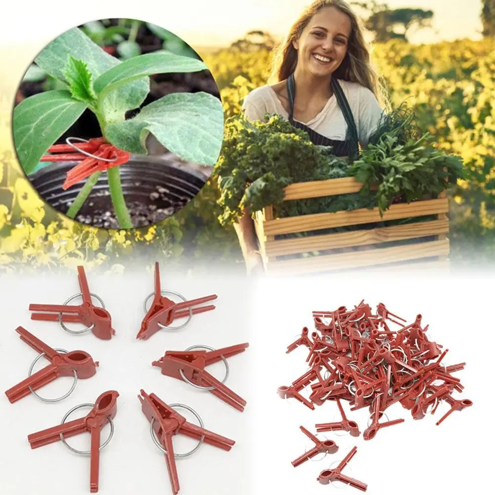 Tuteur Plante,Clips pour plantes en plastique,50 pièces,raccords de ...