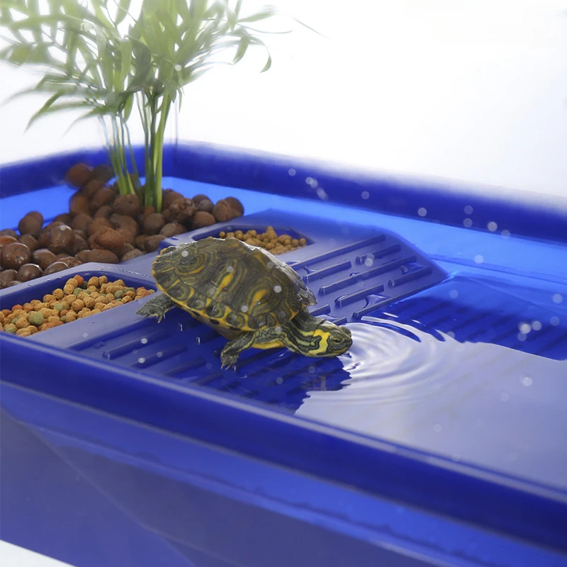 Star Turtle Tank Setup