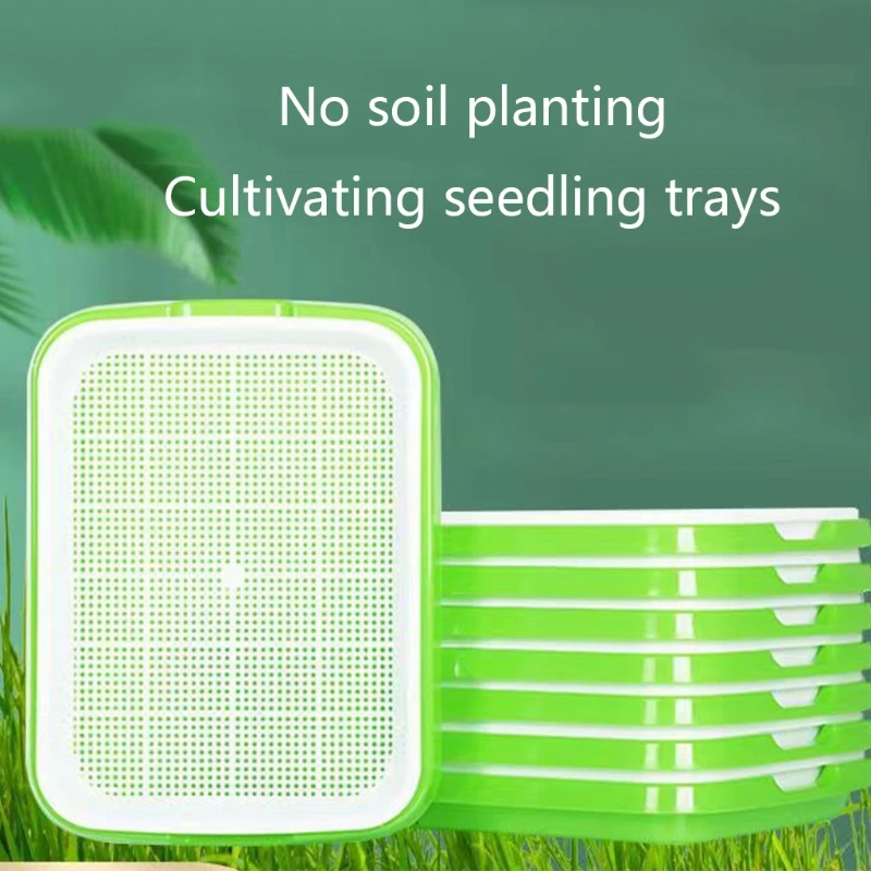 Seed-Sprouter-Tray-Double-Layer-Soilless-Bean-Culture-Hydroponic ...