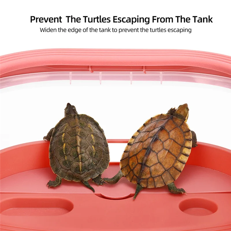Sturdy Turtle Tank For Home Use With Sun Terrace Fish Turtle Mixed ...