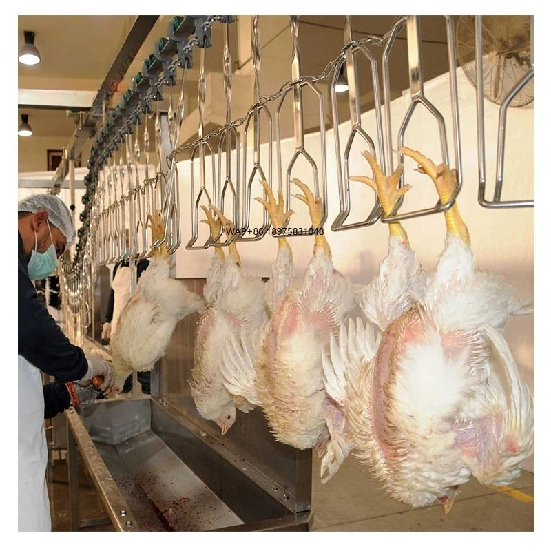 Chicken Slaughter Machine Small Poultry Slaughter Machine Plant Pigeon ...
