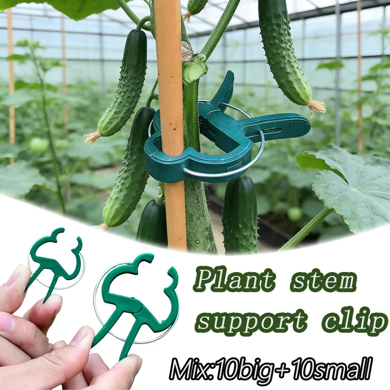 Reusable Garden Greenhouse Fixing Clips Plant Stem Support Clips for ...