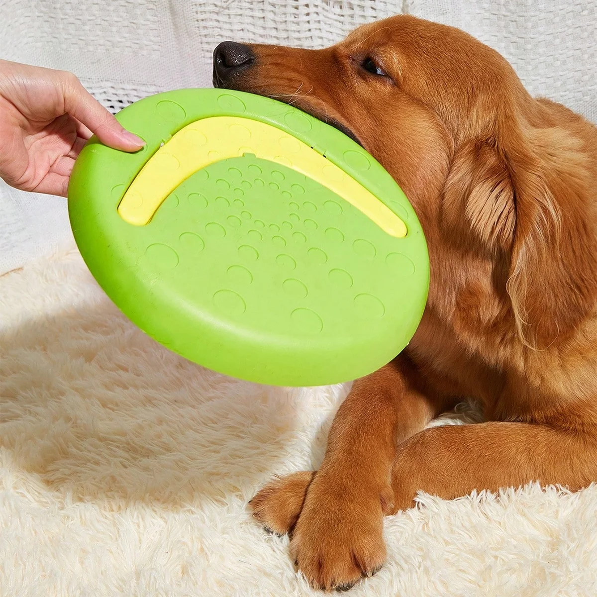 S022d1a465dda4242a6321597a7d62ae7m.png