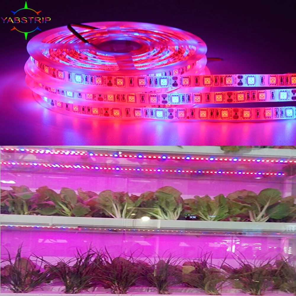 LED grow Strip 5M/roll Waterproof red blue Phyto Lamp 300LEDs 5050 Chip ...