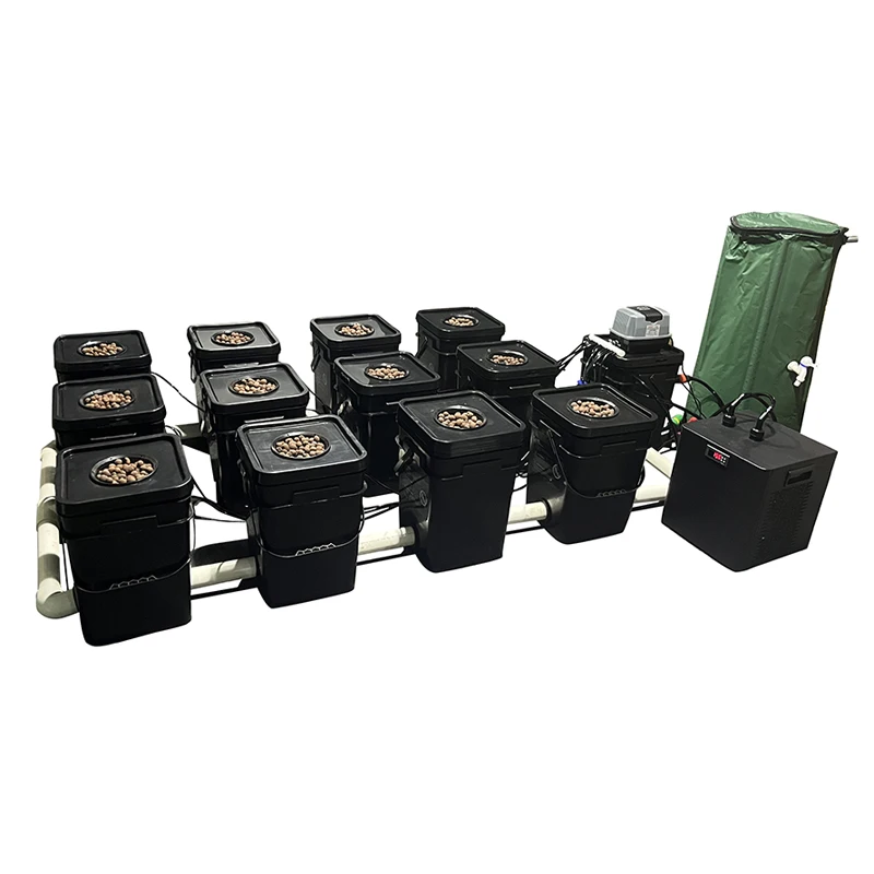 RDWC-5-gallon-clone-bucket-hydroponics-system-12-grow-pot-system-indoor ...
