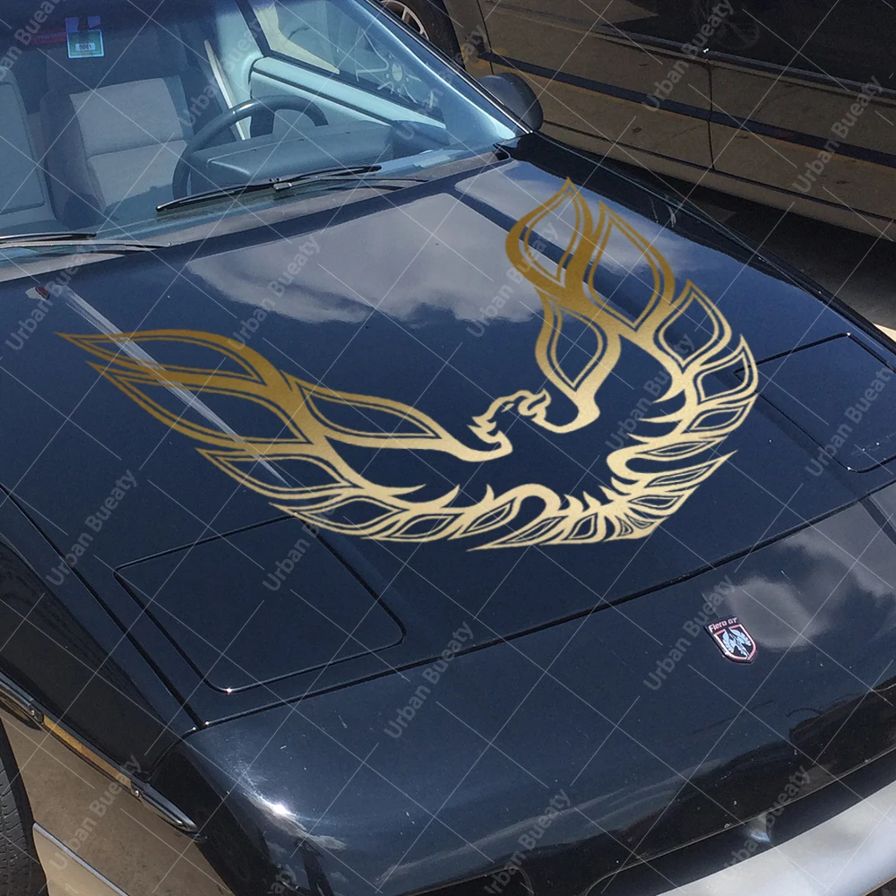 Pontiac Firebird Decal