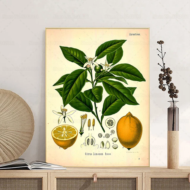 Vintage Lemon Art