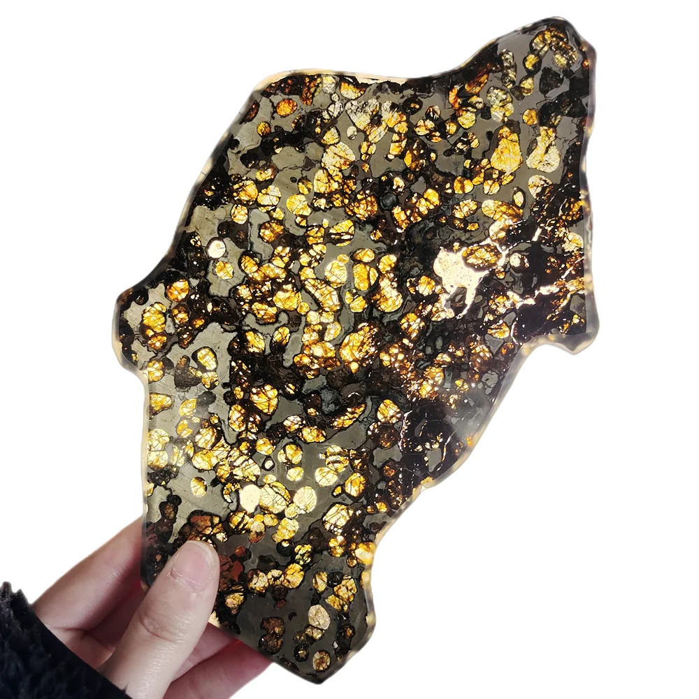 Brenham-Olive-Meteorite-Specimen-Olive-Meteorite-Section-Natural-Meteorite-Specimen-Collection.png