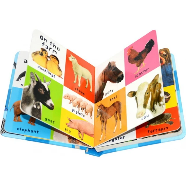 Early Education First 100 Animals Words In English, 55% OFF