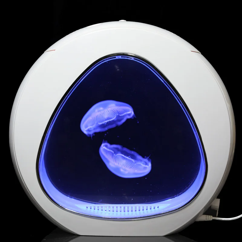 Desktop Jellyfish Tank