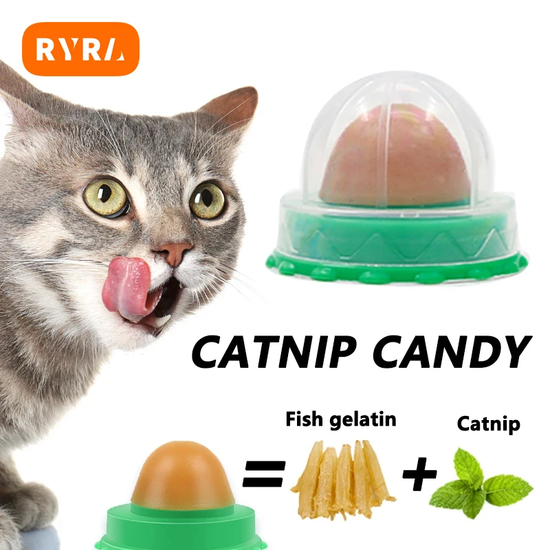 Cats-Products-Healthy-Nutrition-Pet-Snacks-Fixed-Cat-Nutrition-Candy ...