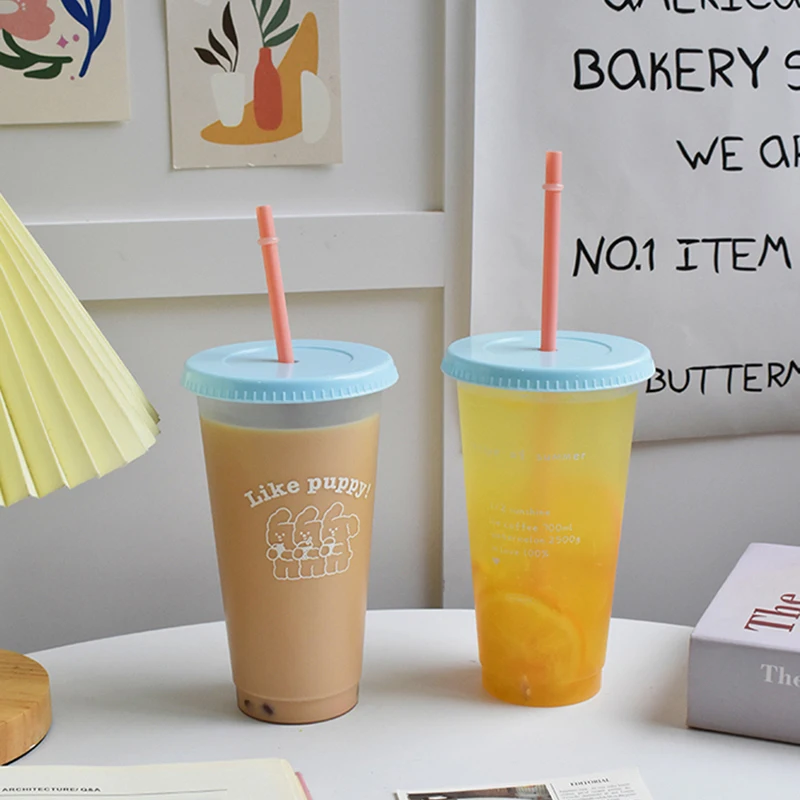 Plastic Water Bottle Cute Coffee Juice Milk Tea Kawaii Leng Cup With ...
