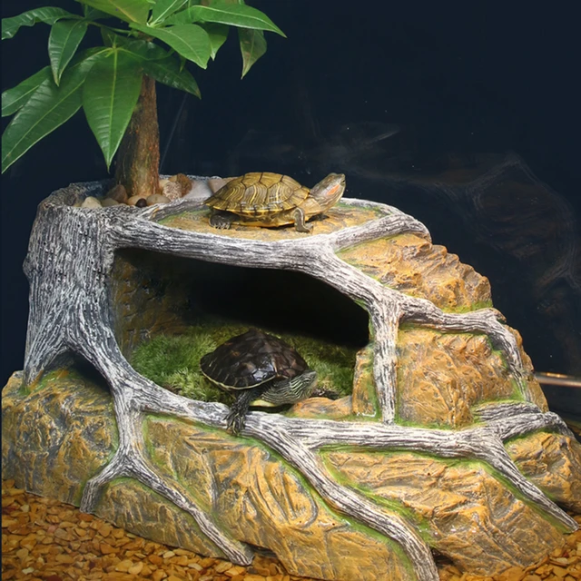 Pet Turtles Tanks