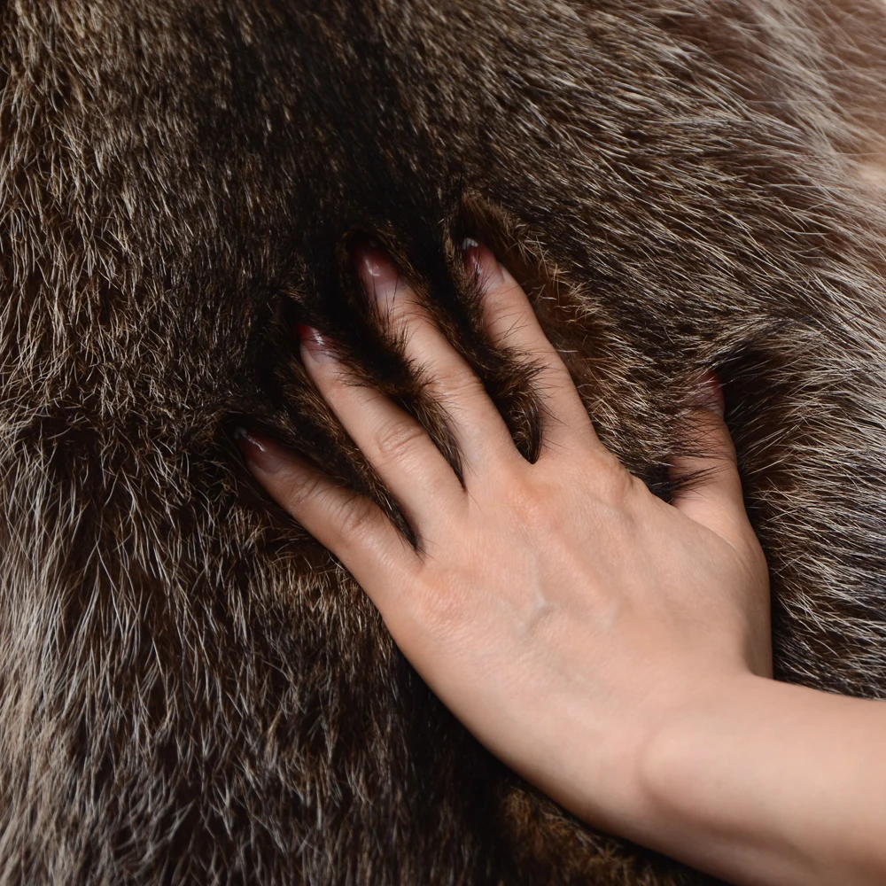 Tipos De Pieles De Animales | ppgbbe.intranet.biologia.ufrj.br