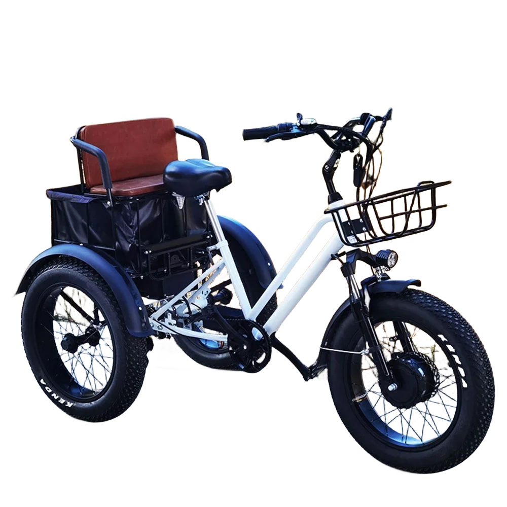 Tricycle-lectrique-trois-roues-pour-personnes-g-es-48V-750W-500W-fatopathie-v-lo-lectrique-p.png