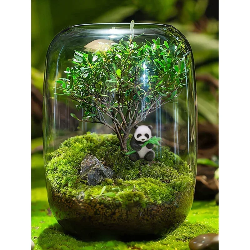 Tree-of-Life-Moss-Plant-Micro-Landscape-Glass-Flower-Container-Small ...
