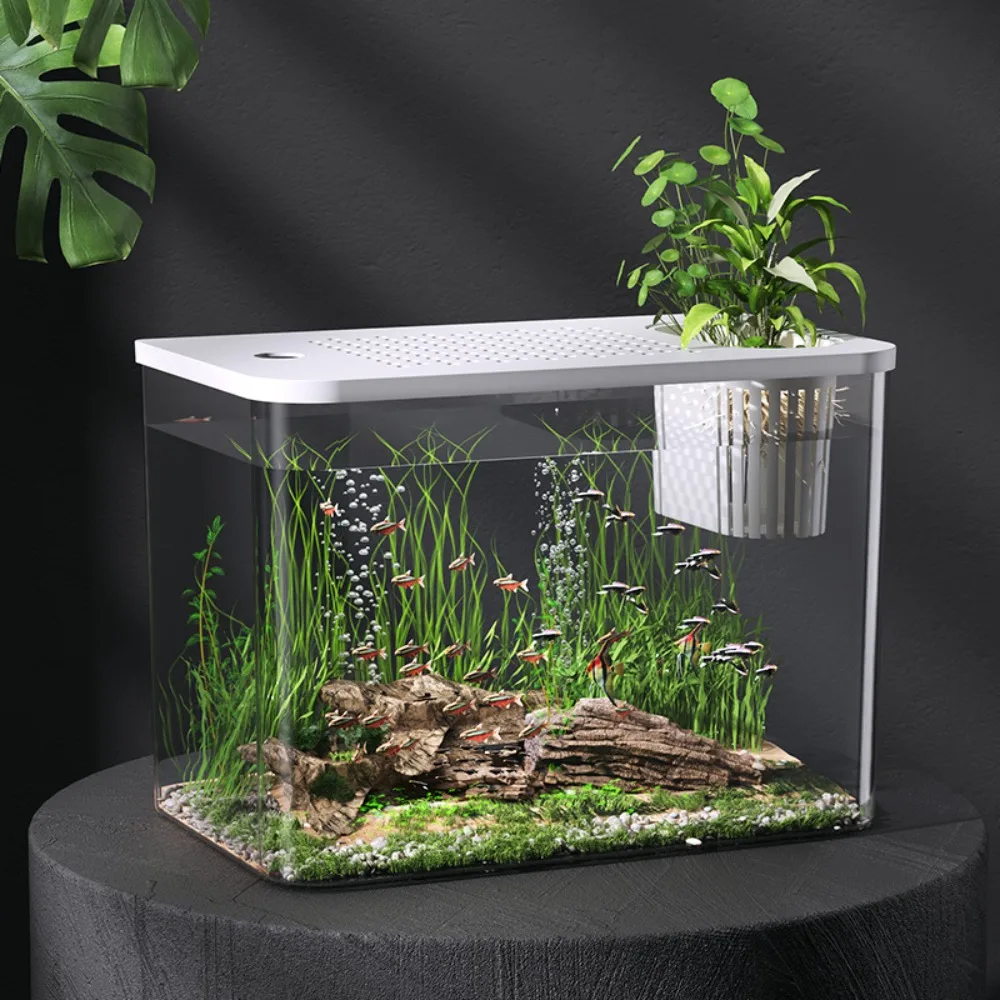 PET-ABS-Fish-Tank-New-Transparent-with-Lid-Aquarium-Drop-Resistant ...