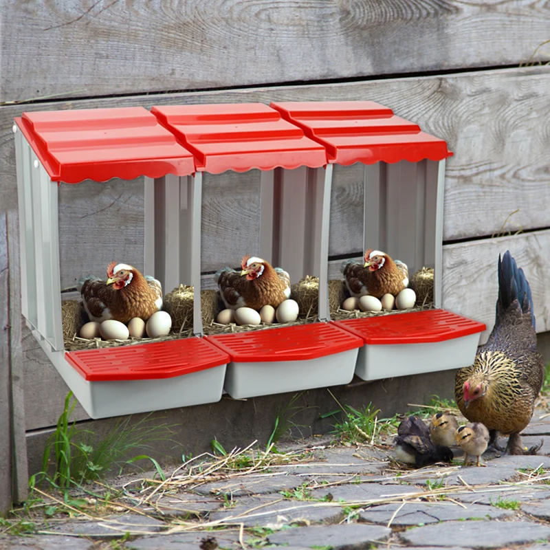 Caja-de-anidaci-n-enrollable-de-1-compartimentos-para-pollos-y-gallinas ...