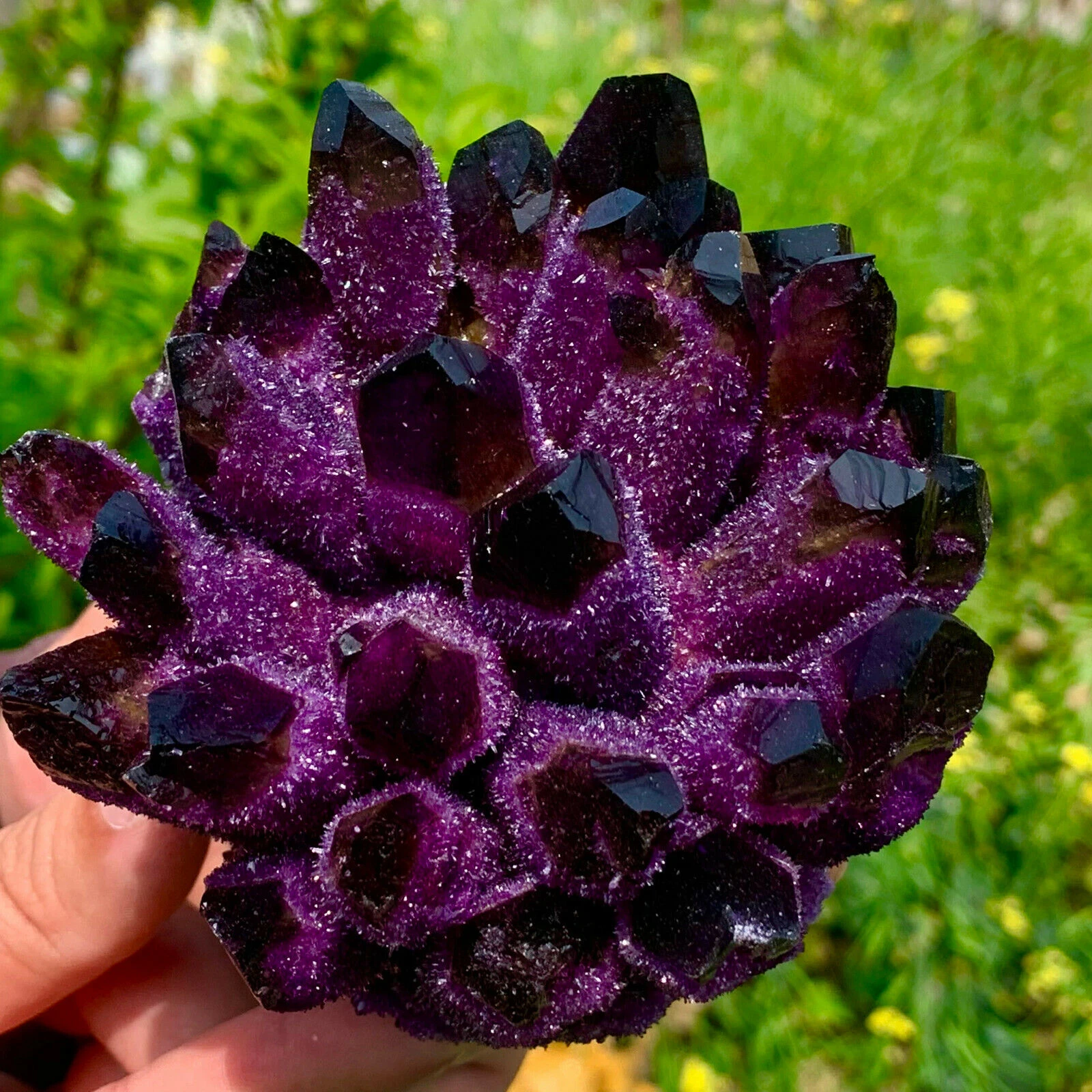 Natural Violet Ghost Phantom Quartz Crystal Cluster Healing Specimen ...