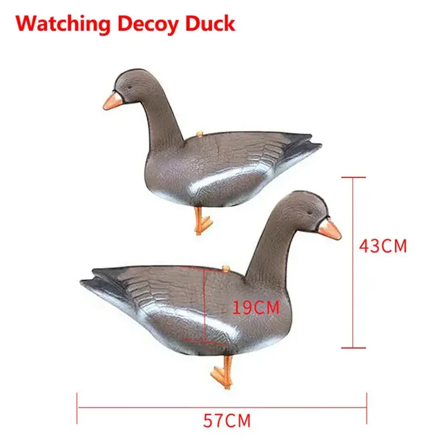 Store Home Products Sale Feedback