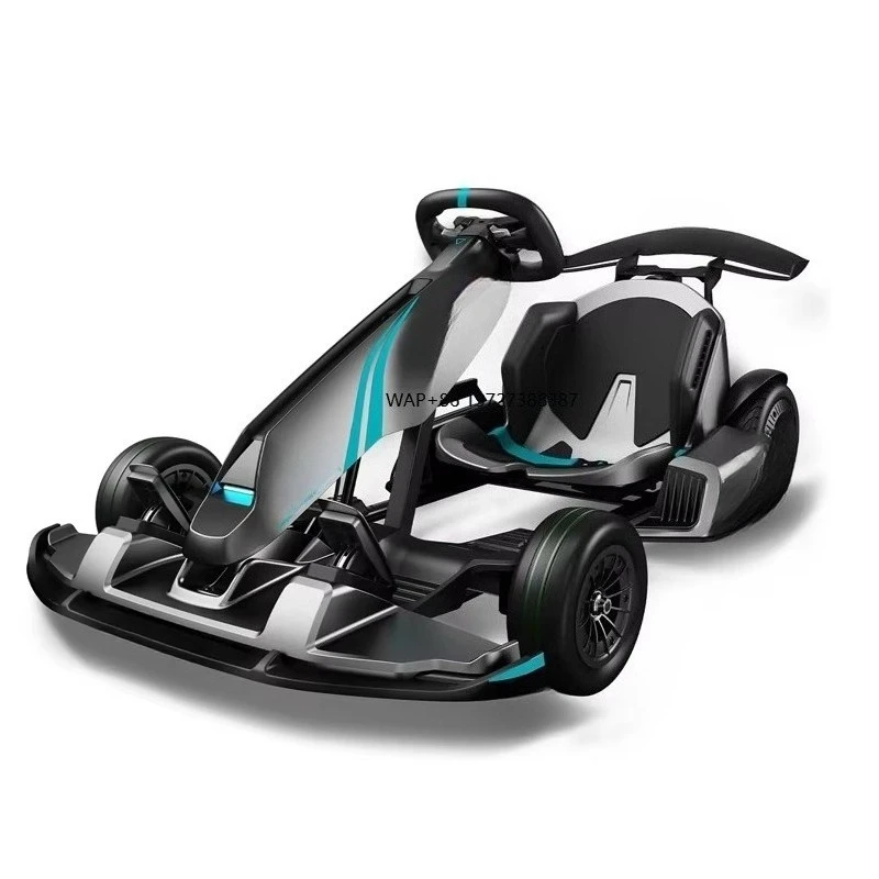 Go Kart Pro 2 Carro Elétrico Off Road 2400W 24km/h
