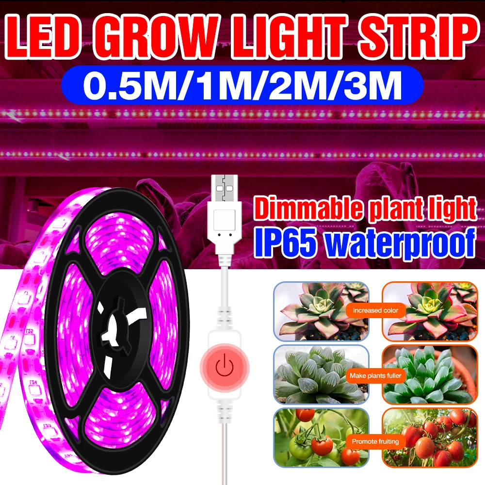 S038141bfe99842d982e66c1367f8520en.jpg