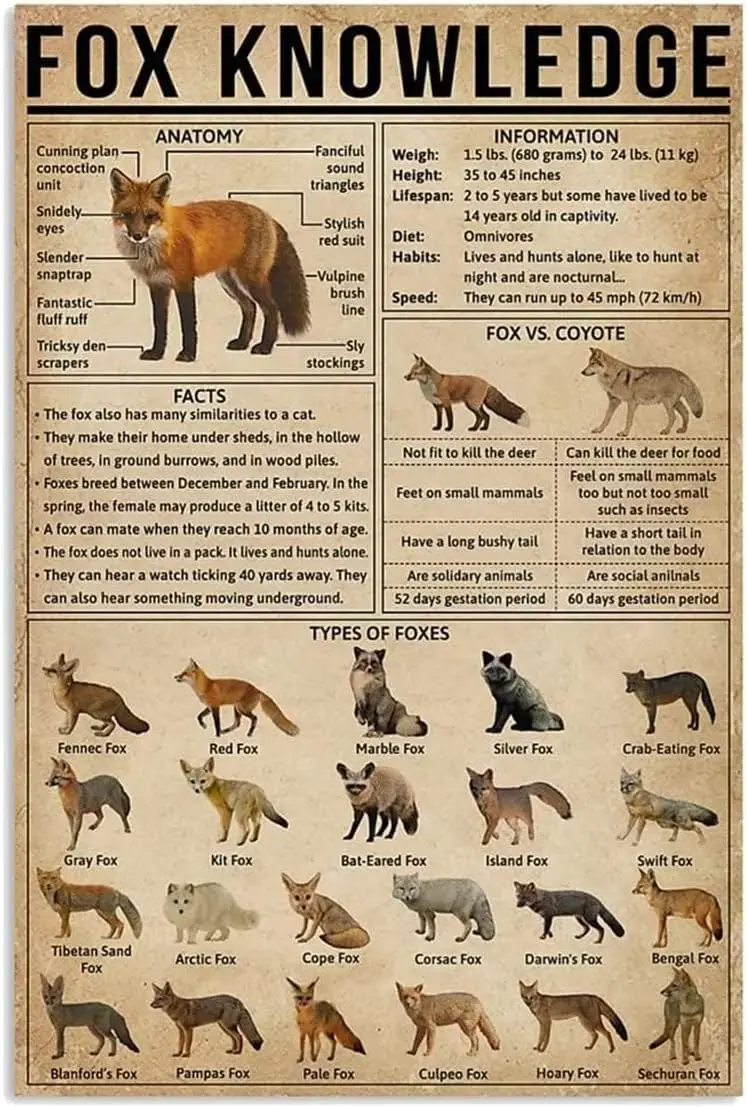 Fox-Knowledge-Metal-Tin-Signs-Vintage-Types-Of-Foxes-Education ...