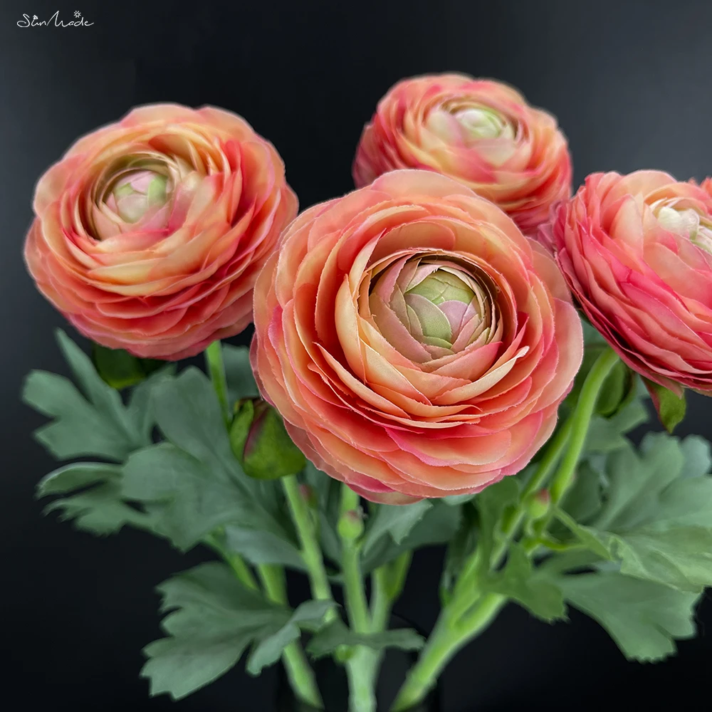 Coral Ranunculus