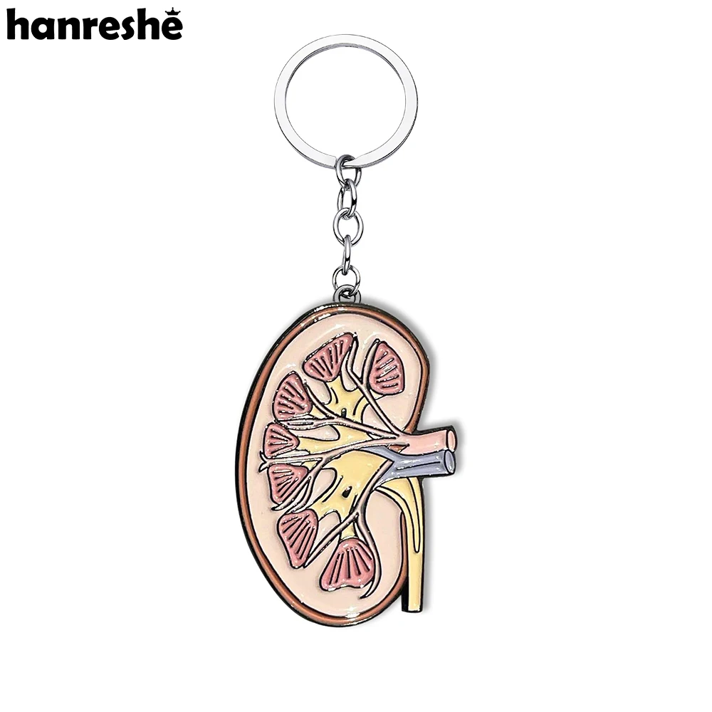 Hanreshe-Medical-Kidney-Organ-Keychain-Anatomy-Urology-Jewelry-Enamel ...