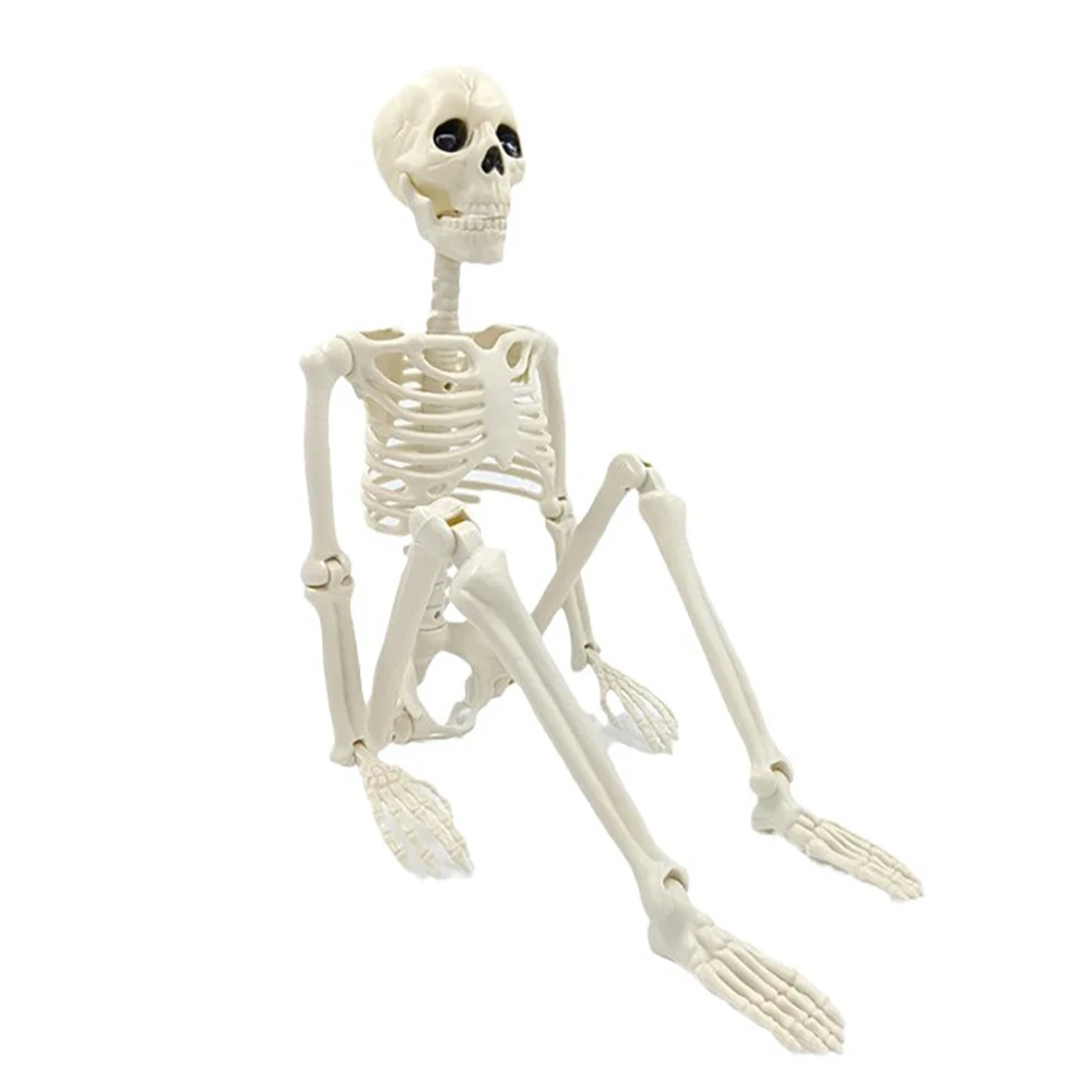 40cm-Halloween-Human-Shape-Skeleton-Posable-Skeleton-Human-Shape-Bones ...