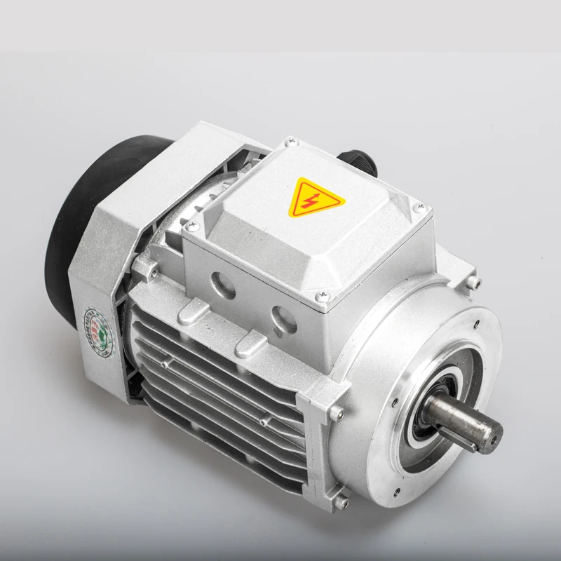 Lalang-Motor-Asinkron-Tiga-Fase-Motor-Cangkang-Aluminium-Gigi-Motor ...