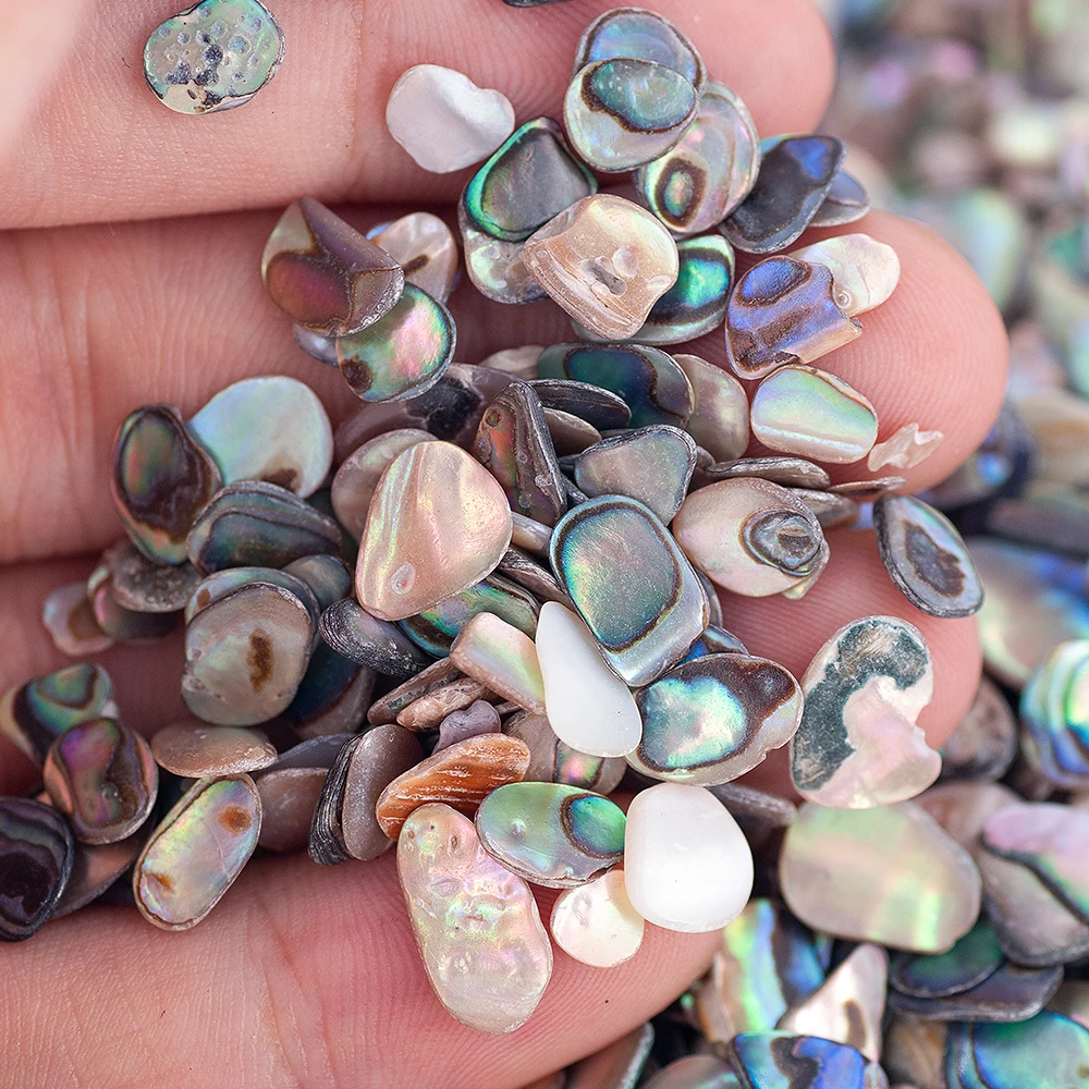 100ML-BoxSmall-Natural-Crushed-Shells-Resin-Filler-Dyed-Shells-Chips ...