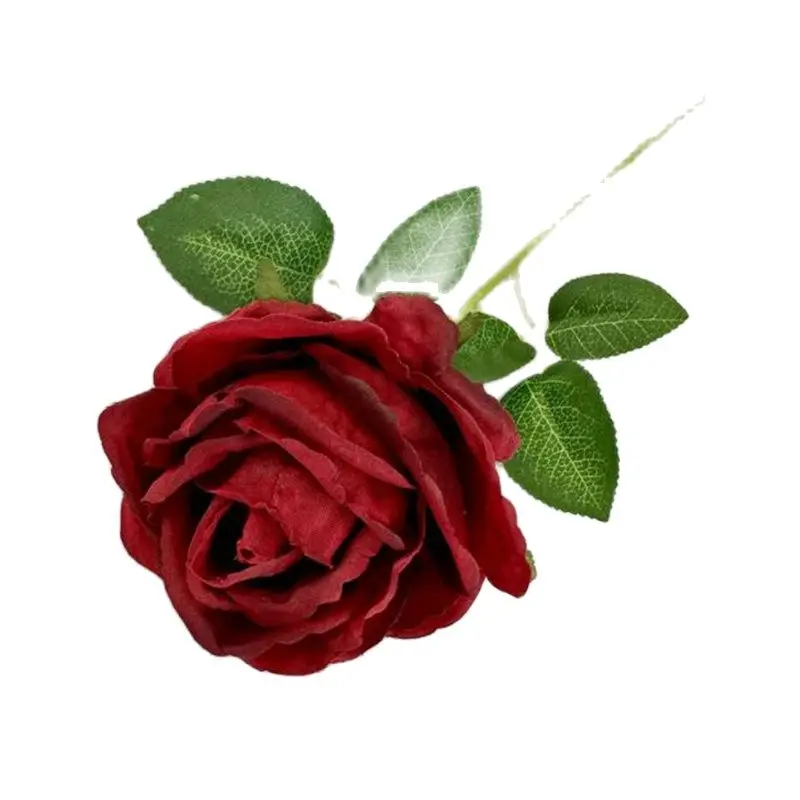 Single Stem Rose Png