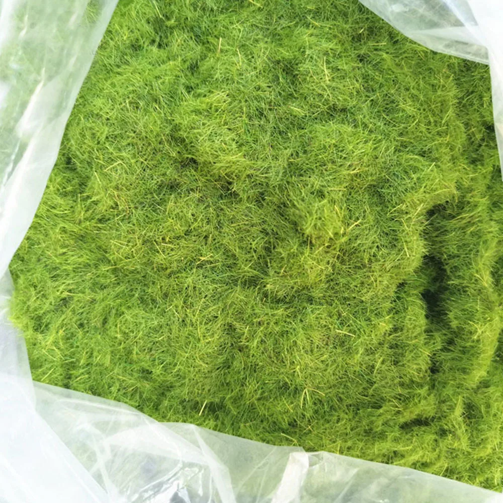 Simulation-Moss-Grass-Powder-3MM-5MM-Nylon-Static-Planting-Flocking ...