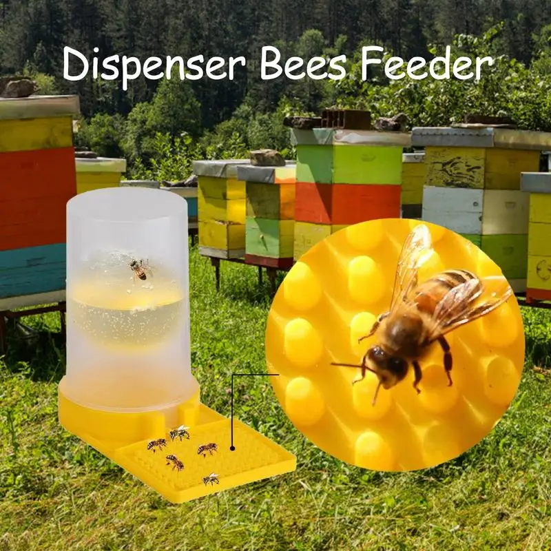 Bee Water Dispenser Transparent Feeder Water Slide Automatically High ...